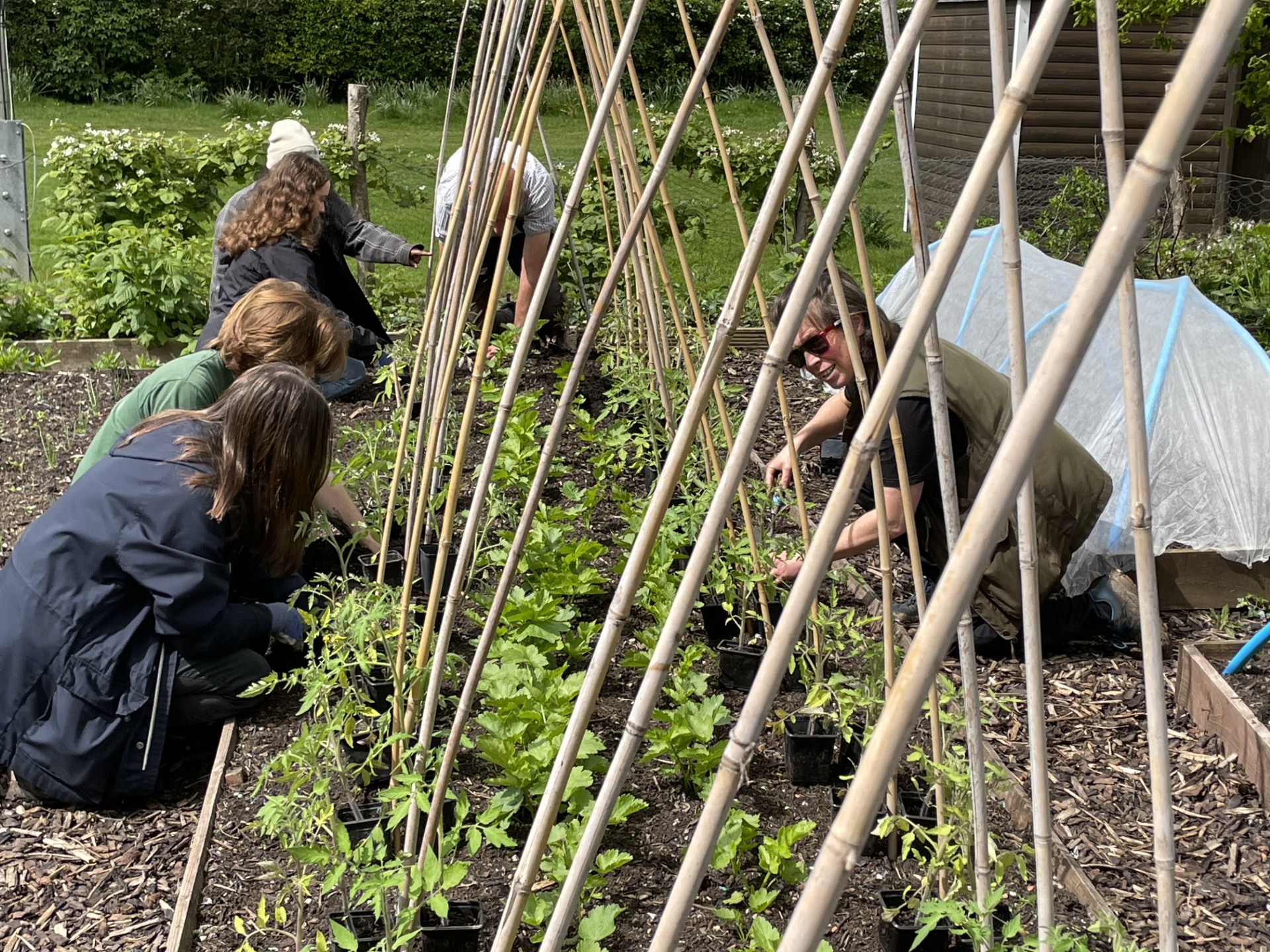 Connecting wellbeing, nature, and sustainability: the Kent Community ...